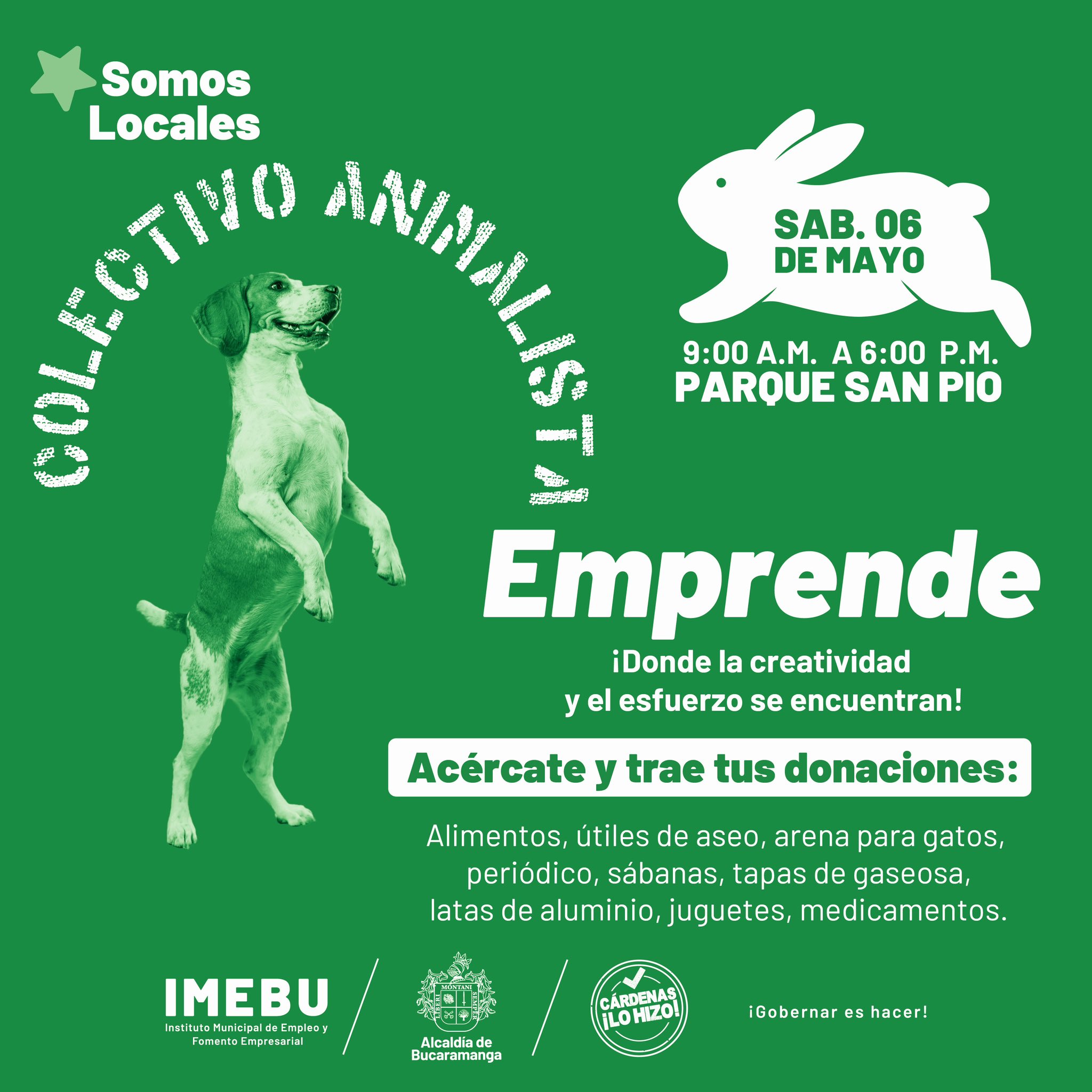 El colectivo animalista ¡emprende | Instituto de Empleo y Fomento ...